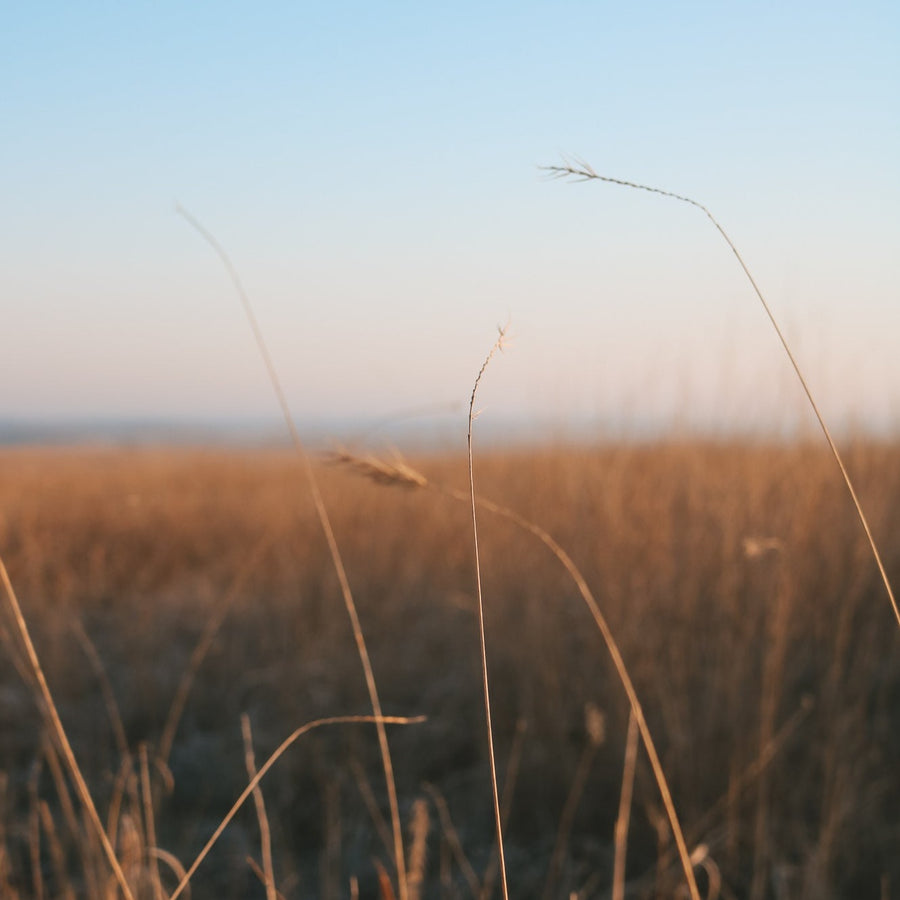 Products – Page 7 – Prairie Sky Jewelry Co